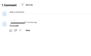What is "PromoSM" Comment on YouTube Videos - MKTG Insight